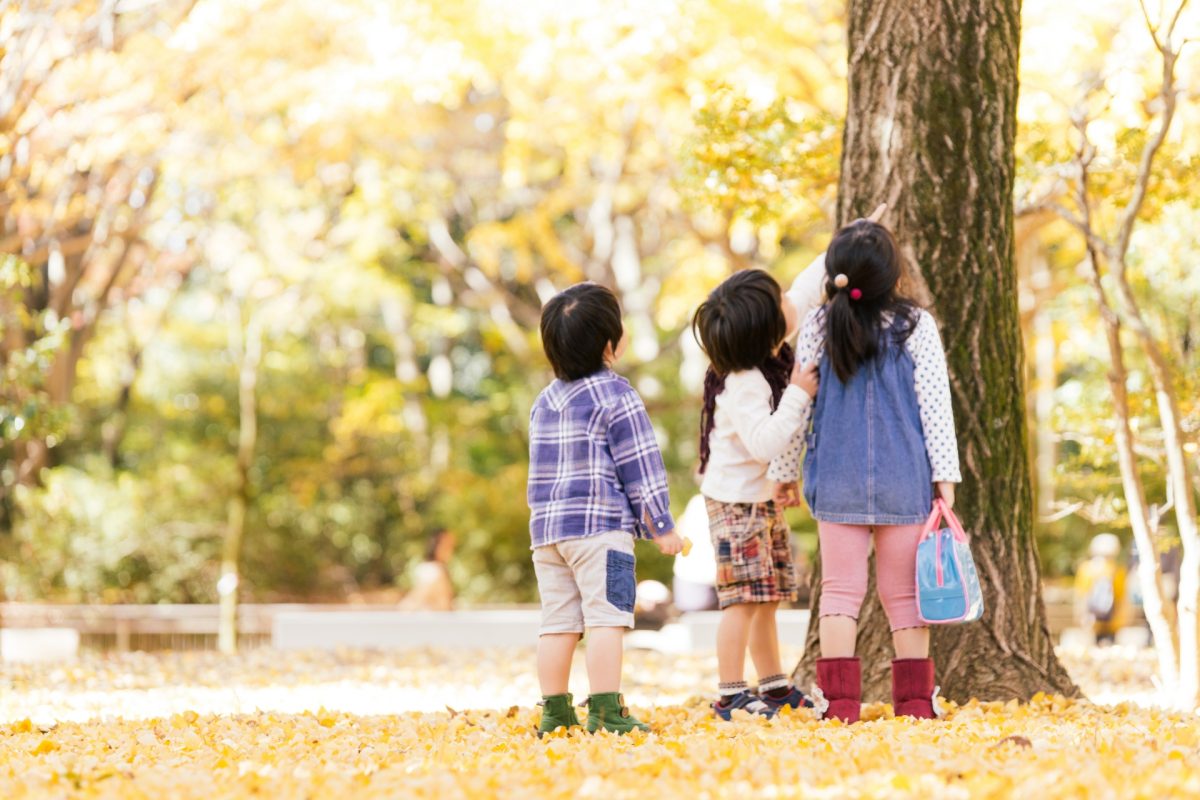 都会で育つ子供が公園でできる自然体験1 スクルー通信